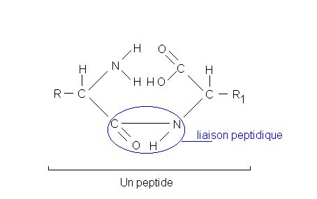 Animation De Liaisons Chimiques