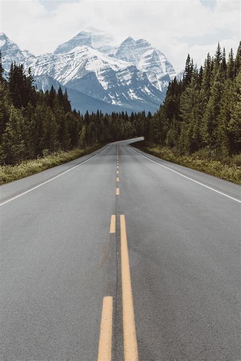 Road Roadtrip Travel Journey Voyage Drive Wilderness Nowhere