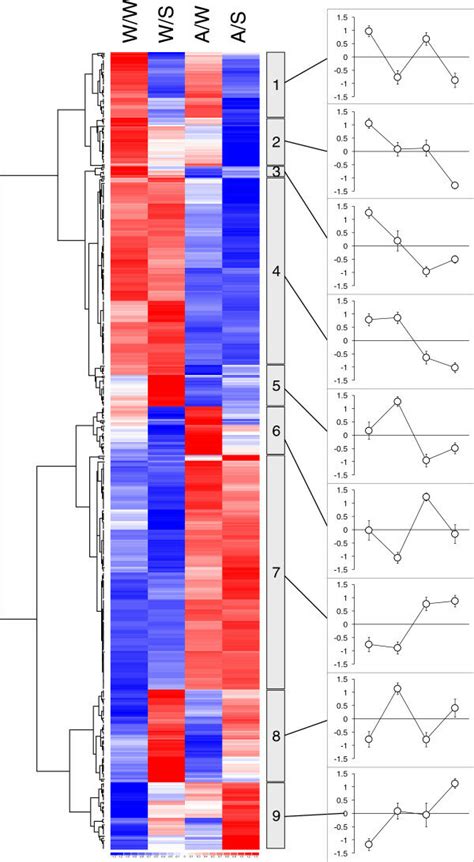 Hierarchical Clustering Of Differentially Regulated Genes Heatmap