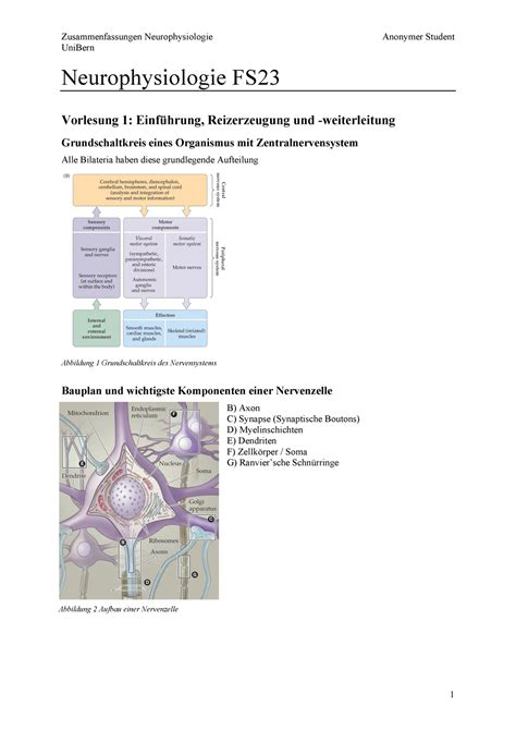 Neurophysiologie Zusammenfassung FS23 UniBern Neurophysiologie FS
