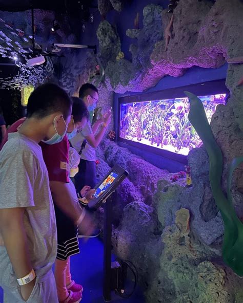 Jakarta Aquarium Safari Menjelajah Keindahan Bawah Laut Di Dalam