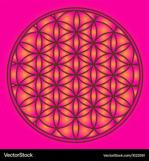Sacred Geometry Flower Of Life Symbol Royalty Free Vector