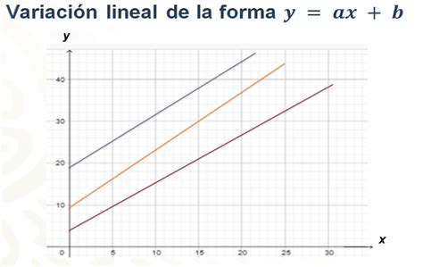 Representaciones gráficas de variaciones lineales Nueva Escuela Mexicana