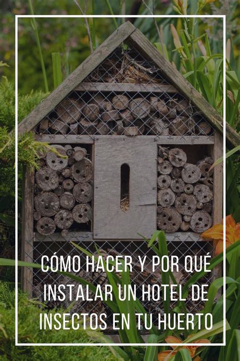 C Mo Hacer Y Por Qu Instalar Un Hotel De Insectos En Tu Huerto