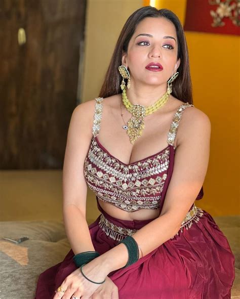 Bhojpuri Actress Monalisa Shares Seducing Pics In All Decked Pink
