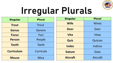 Irregular Plurals In English Irregular Plurals Nouns List Youtube