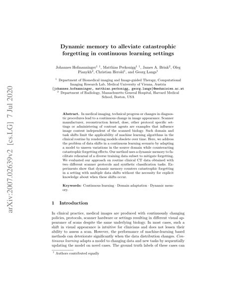 pdf dynamic memory to alleviate catastrophic forgetting in continuous learning settings