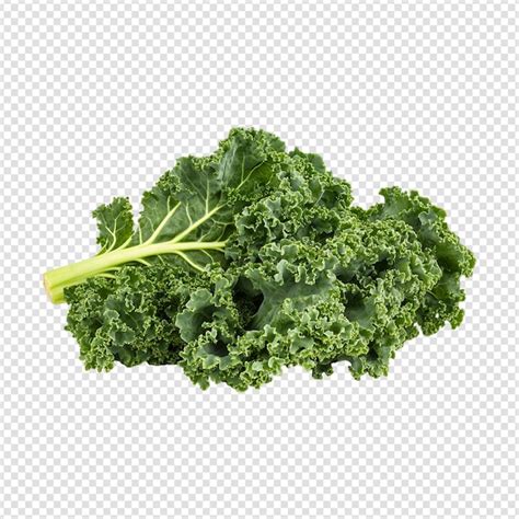 Kale Isolated On Transparent Background Cut Out Premium AI Generated PSD