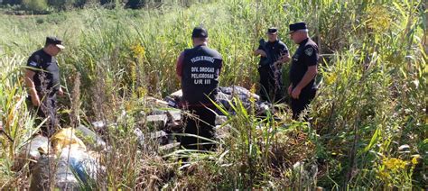 Incautan más de una tonelada de marihuana en Puerto Piray