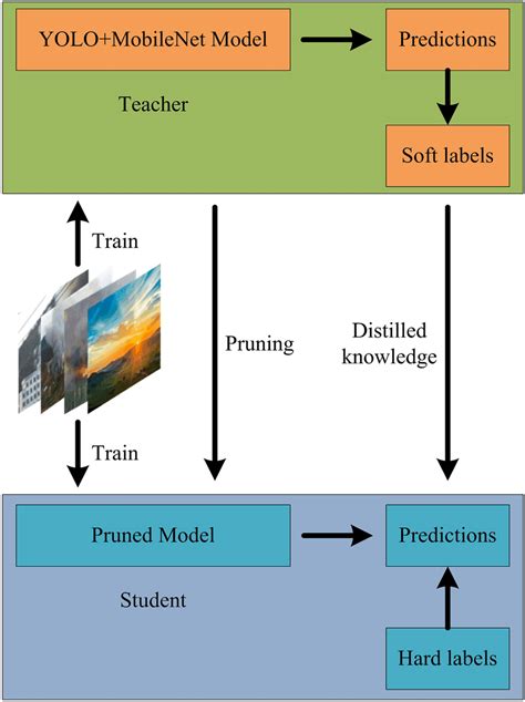 schematic diagram of the knowledge distillation process the download scientific diagram