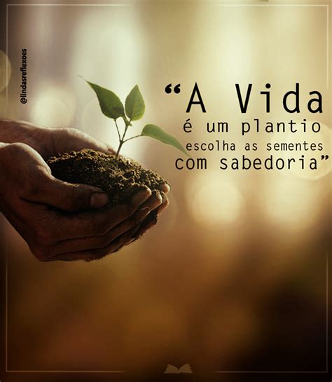 Mensagem Sobre Sabedoria Frases De Otimismo