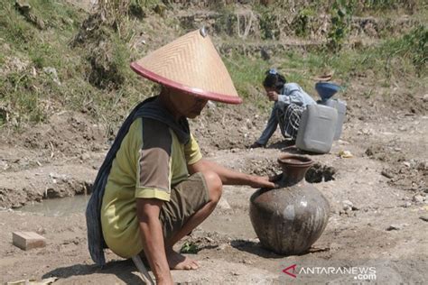 Jawa Bali Dan Nusa Tenggara Berpotensi Kekeringan Ekstrem ANTARA News