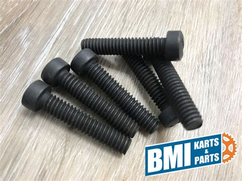1 4 20 X 1 1 4 Pozidriv Head Fillister Screw Pack Of 6 K903 BMI