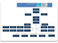 Las Mejores Ideas De Organigramas Empresarial Organigramas