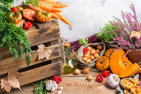 Que planter en novembre au potager 7 légumes pour l hiver