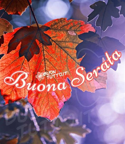 Immagini Di Buona Serata BuonTutto