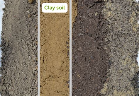 Types Of Soil For Farming And Gardening FarmerDB