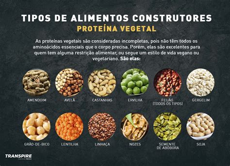 Infográfico os tipos de alimentos construtores nas proteínas