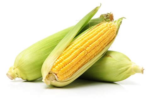 Aprender acerca 50 imagen información nutricional del elote Abzlocal mx