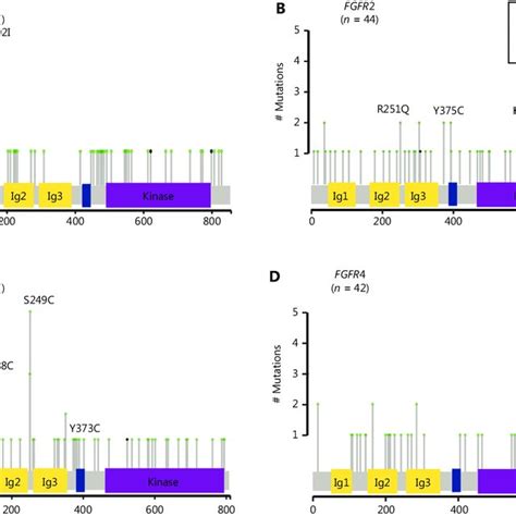 Visualization Of FGFR Fusions Including Fusion Partners Using The