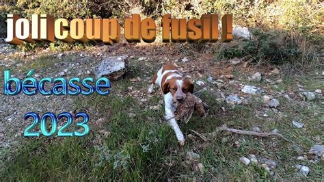 Joli coup de fusil bécasse 2023 YouTube