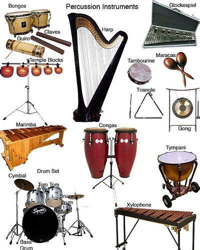 Image Detail For Percussion Instruments Percussion Instruments