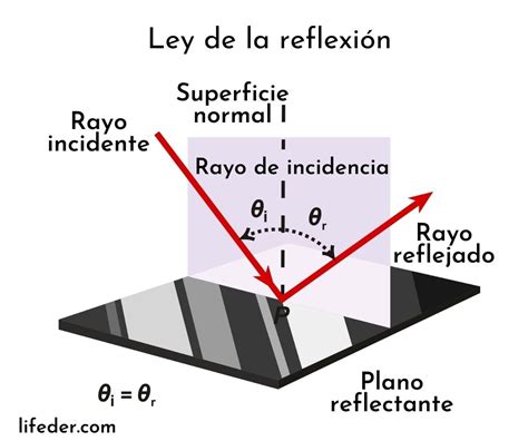 Reflexi N De La Luz Concepto Explicaci N Tipos Y Ejemplos