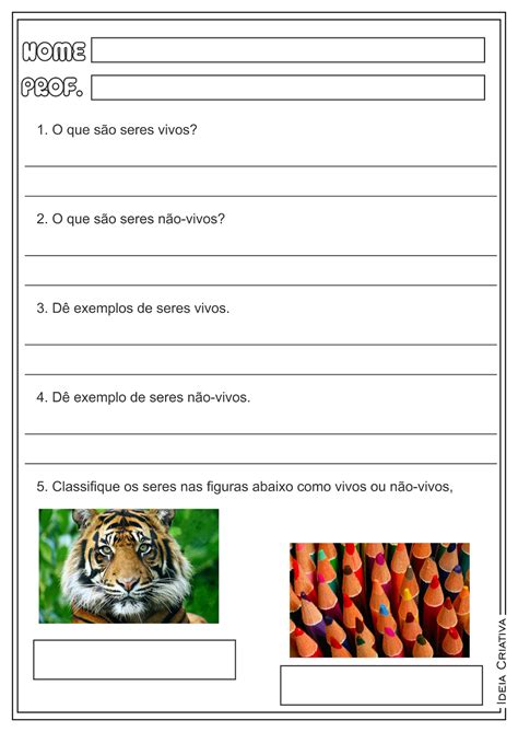 Lipitipi Atividades E Projetos Fundamental I