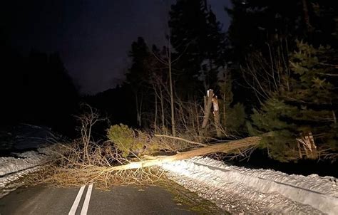 Silny Wiatr Przewraca Drzewa I Zrywa Dachy Gdzie Jest Najgorzej