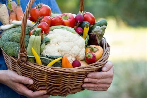 Qué son los alimentos orgánicos y cuáles debo usar Familias