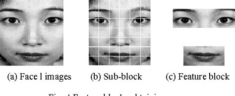 figure 1 from automatic facial expression recognition using local binary pattern semantic scholar