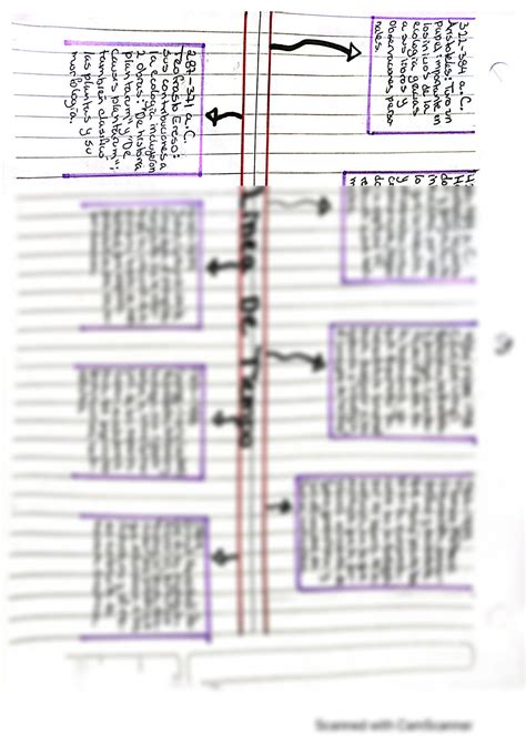 SOLUTION L Nea Del Tiempo De La Ecolog A Studypool