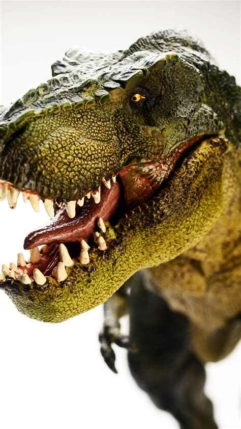 T Rex Wallpaper 4K Dinosaur 5K 8K Tyrannosaurus