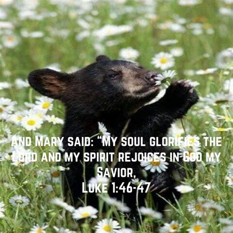 Luke And Mary Said My Soul Glorifies The Lord And My Spirit