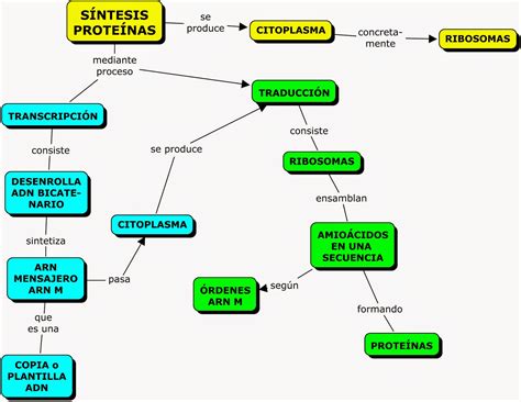 MAPAS CONCEPTUALES MIND MAPS Y SCIENCE EXPERIMENTS 08 21 14