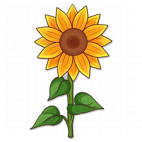 Top Imagen Girasol Imagen Dibujo Abzlocal Mx