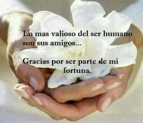 Lista Foto Gracias Por Ser Parte De Mi Vida Frases Cena Hermosa