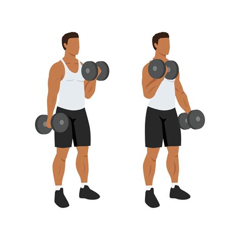 Alternating Bicep Curls Outlet Collection Pinnaxis