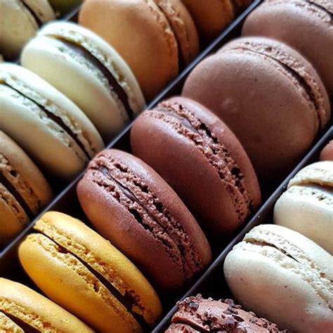 Macarons La Maison Du Chocolat Ventana Blog