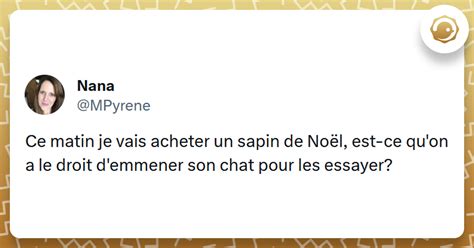 Top 15 des tweets les plus drôles sur le combat chat sapin Twog