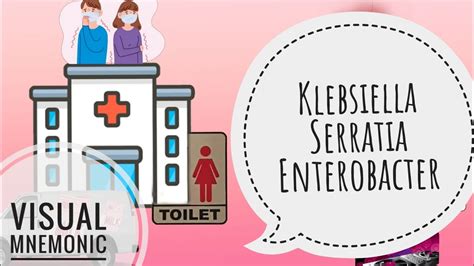 Klebsiella Serratia And Enterobacter Visual Mnemonic Microbiology