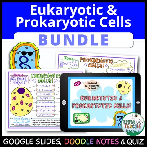 Eukaryotic And Prokaryotic Cells Lesson Bundle Emmatheteachie