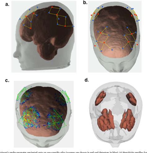 Figure 2 From Modulating Perceptual Complexity And Load Reveals