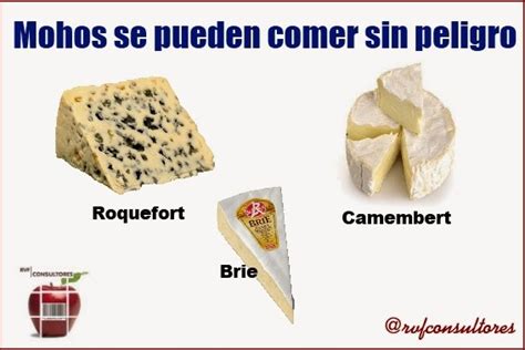 Se Puede Comer El Moho Que Aparece En El Queso Manipulando Lo Que