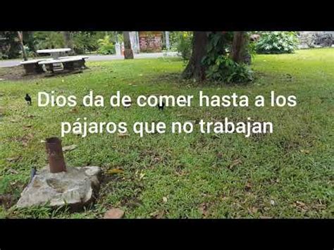 No Se Preocupen Por Lo Que Van A Comer YouTube