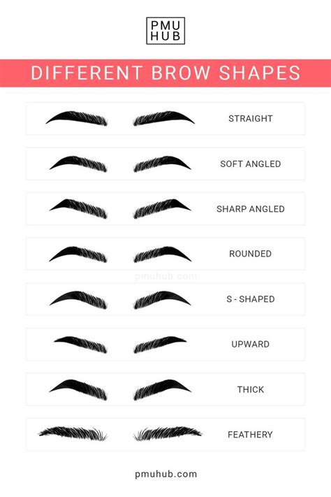 Korean Eyebrows Shaping Eyebrows For Oval Face Eyebrow For Round Face