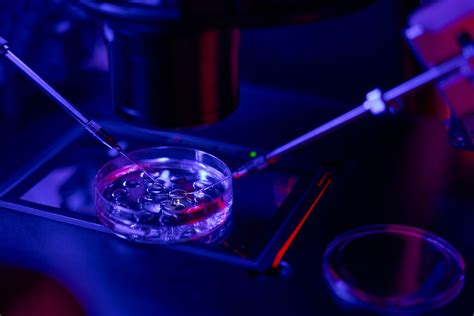 Cowzdrowiu Ustawa O In Vitro Opublikowana Kiedy Wejdzie W Ycie