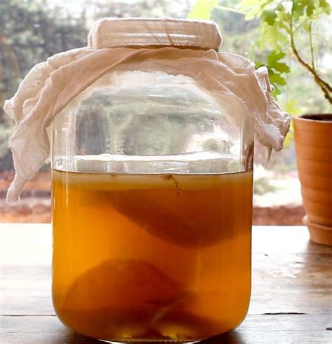 Kombucha Receta Kombucha Platos Faciles De Hacer Y Recetas De Bebidas
