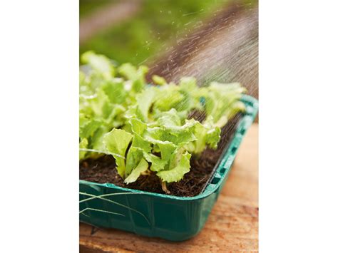 Parkside Set Potager Acheter En Ligne Sur Lidl Be