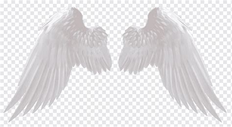 Desenho Silhueta Anjo Silhueta Pena Anjo Png PNGWing